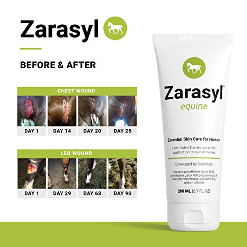 The 27 Best Horse Care Liniments of 2025 [Verified] - Cherry Picks