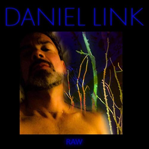 Amazon.com: Raw : Daniel Link: Digital Music