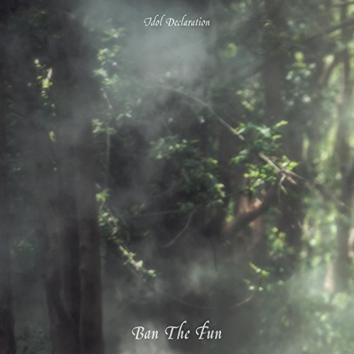 Amazon.com: Ban the Fun : Idol Declaration: Digital Music