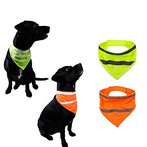 Stay Safe and Stylish: Top 10 Hi-Vis Dog Products for Your Furry Friend ...