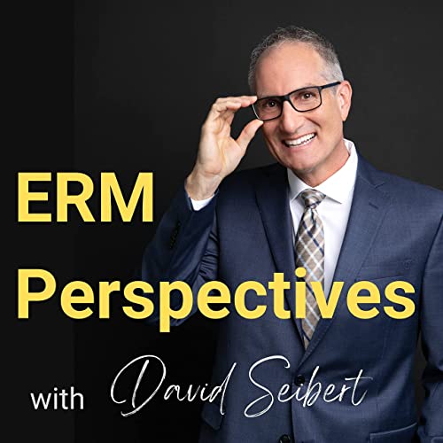 ERM Perspectives : David Seibert: Amazon.in: Audible Books & Originals
