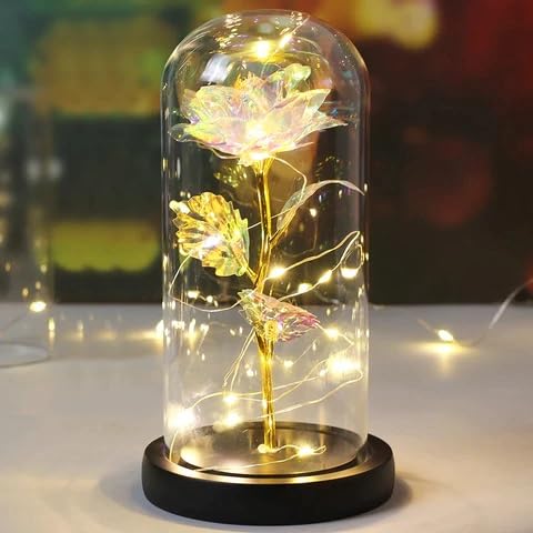 Jamboree!!! Preserved Rose in Clear Glass Dome with LED Lighting - A ...