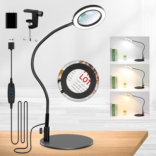 10X Magnifying Glass with Light and Stand, 2-in-1 Magnifying Lamp with ...