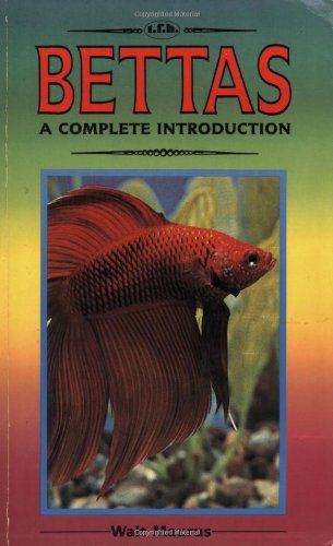 Amazon | Bettas: A Complete Introduction | Maurus, Walt | Fish & Sharks