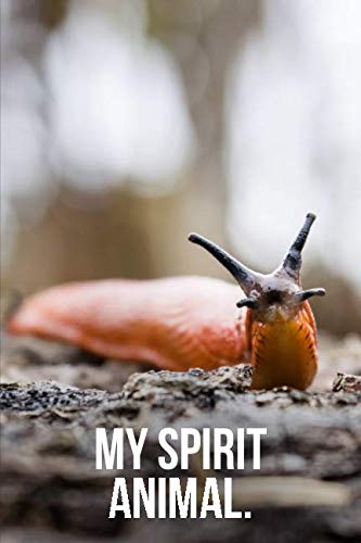 My Spirit Animal: Slug Journal: Notebooks, Golding: 9781797964133 ...