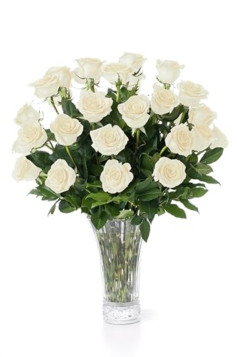 The Beauty and Significance of White Roses: A Guide to This Timeless Flower
