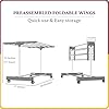 Pole 1-Tier Premium Heavy-Duty Stainless-Steel Clothes Drying Stand ...