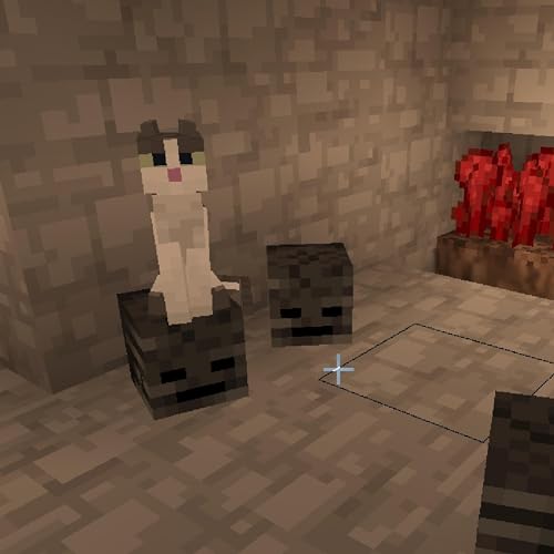 Écouter Cat on a Wither Skull (Minecraft) de Edge Of Epiphany sur ...