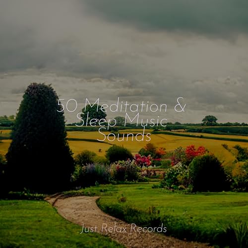 50 Meditation & Sleep Music Sounds : Rest & Relax Nature Sounds Artists ...
