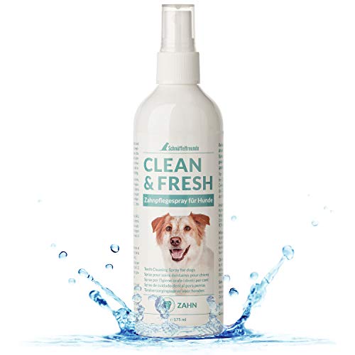 Hund Dental Spray – Die 15 besten Produkte im Vergleich ...
