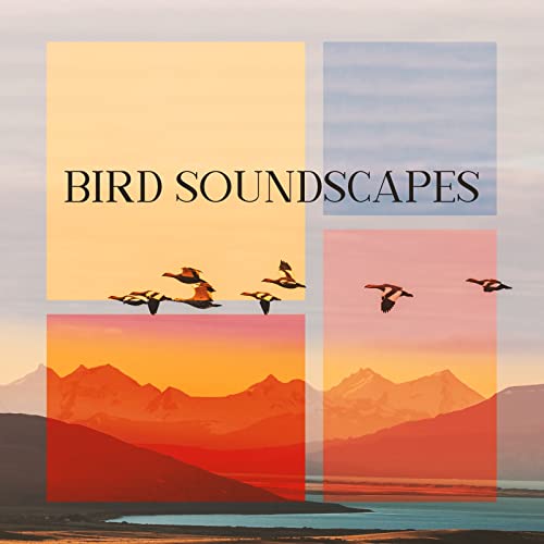 Amazon Music - Pro Sound Effects LibraryのBird Soundscapes - Amazon.co.jp