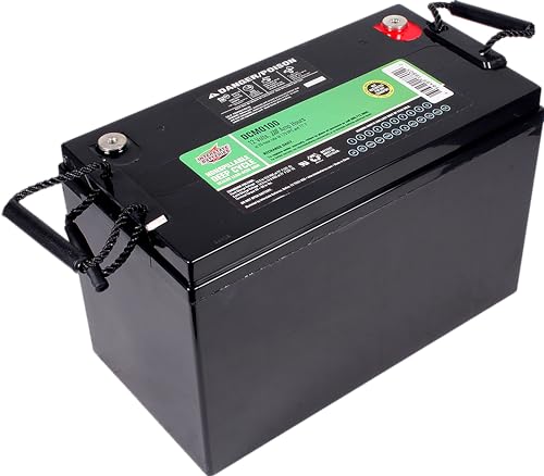 Top 10 Best Agm Deep Cycle Batteries : Reviews & Buying Guide - Katynel