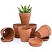 Amazon.com: D'vine Dev Pack of 6 Terracotta Pots with Saucers, 5 Inches ...