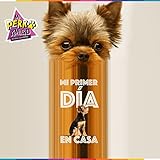 【発売日：2022年07月01日】・製造元:Mi Perro Amigo