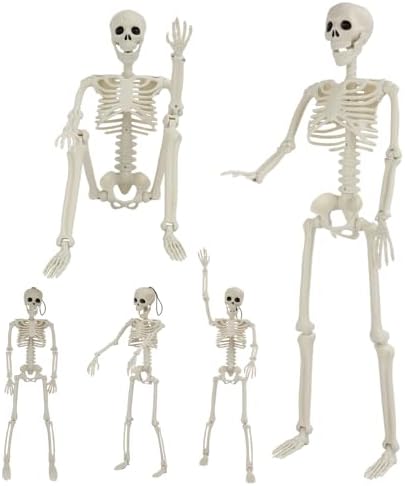 Amazon.com : 6 Packs Skeleton Halloween Decorations Outdoor with 16 ...