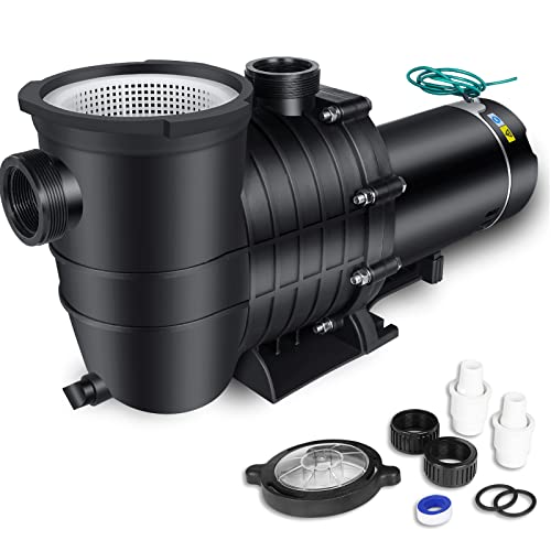 Top 10 Best Dual Speed Pool Pumps : Reviews & Buying Guide - Katynel