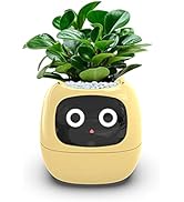 Amazon.com: TPHRAVAL Intelligent flower pot, electronic bud ...
