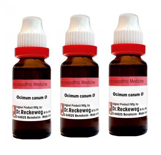 Buy Ocimum Can.Q 20ml Dr Reckeweg (Pack Of 3) Online at Low Prices in ...
