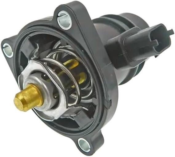 Termostato Pompa Acqua motore e Termostato liquido di raffreddamento ...