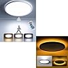 Matane 12 Inch LED Flush Mount Ceiling Light Fixture with Night Light ...