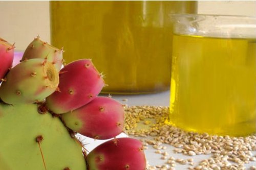 10 Best Prickly Pear Oils Of 2025, According To An Expert