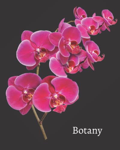 Botany Kits - Smart Kid Gifts
