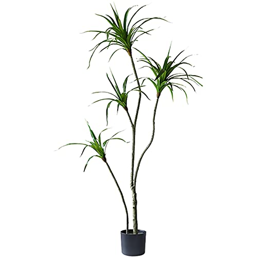 Palmen Töpfe – Die 15 besten Produkte im Vergleich - Hausbauberater ...