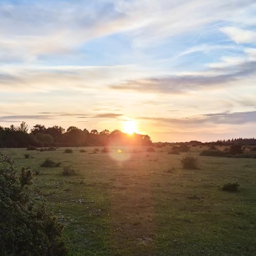 Amazon MusicでDjTj Official feat. Amy OwenのFlying Highを再生する