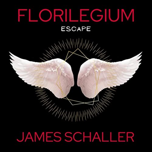 Écouter Escape par James Schaller sur Amazon Music Unlimited