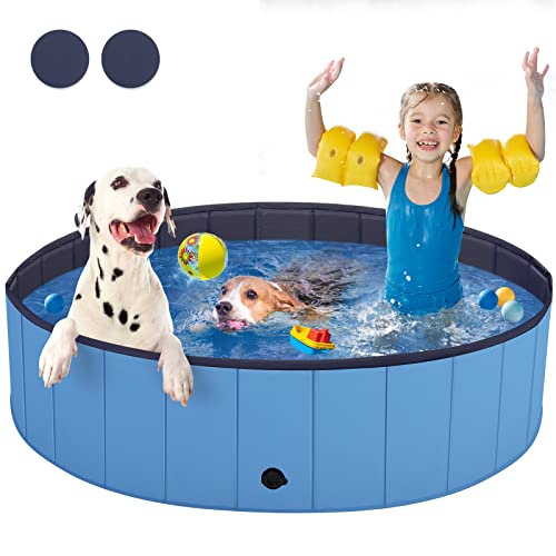 Beat the Summer Heat with these Top 10 Hard Dog Pools – Your Ultimate ...