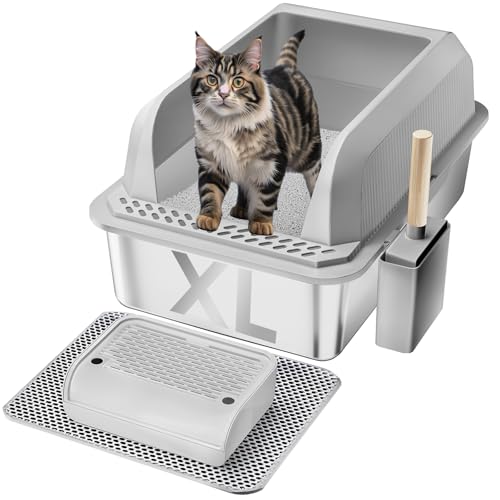 10 Best Cat Boxes for a Clean and Happy Home in 2024
