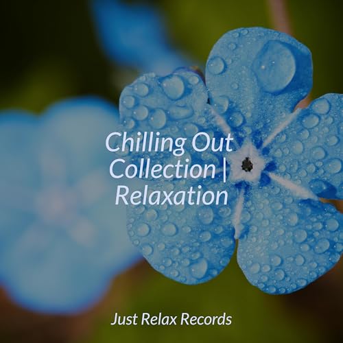 Play Chilling Out Collection | Relaxation by Study Hard, Música ...