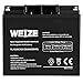 Amazon.com: WEIZE 12V 20AH Lead Acid Battery Replace UB12200 FM12200 ...