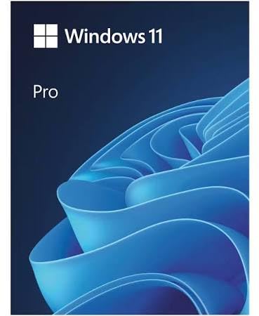 Windows 11 Pro Product Key | Desertcart INDIA