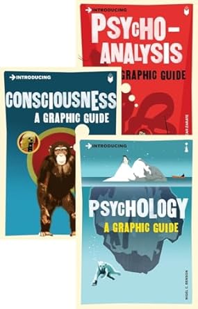 Amazon.com: Introducing Graphic Guide box set - Know Thyself (Graphic ...