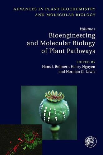 Amazon.com: Bioengineering and Molecular Biology of Plant Pathways ...