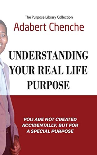 UNDERSTANDING YOUR REAL LIFE PURPOSE: YOU ARE NOT CREATED ACCIDENTALLY ...