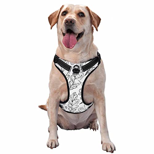 Dog Harnesses for Fall