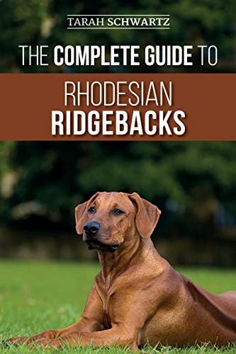 How Much Should I Feed My Rhodesian Ridgeback
