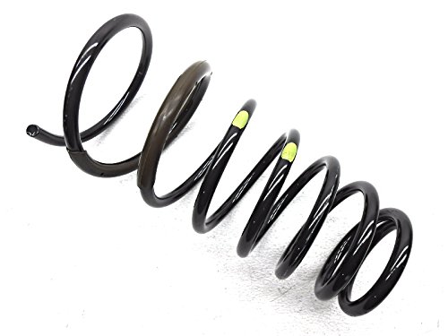 Genuine Hyundai 55330-25000 Spring, Rear : Amazon.in: Car & Motorbike