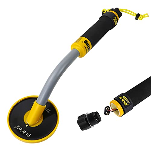 Find The Best Small Underwater Metal Detector Reviews & Comparison ...
