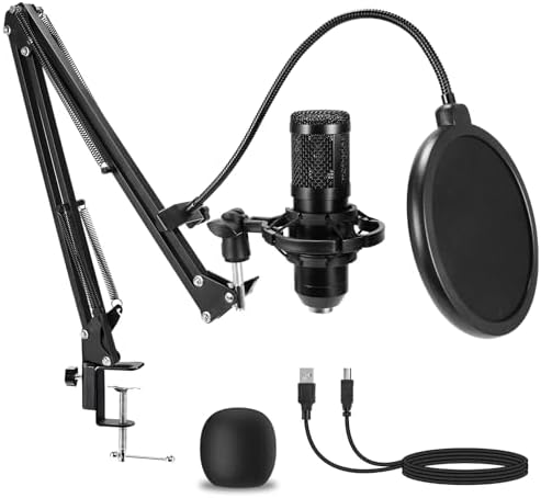 Amazon.com: Bwrethay USB Microphone,Professional Microphone 192kHz ...