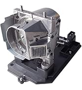 Amazon.com: CTLAMP NP30LP Replacement Lamp Compatible Lamp NP30LP with ...