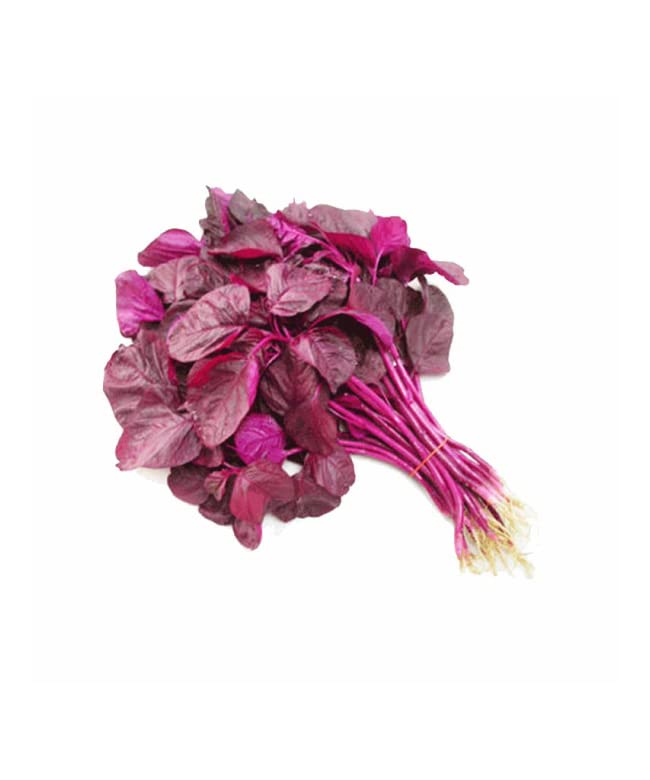 Amaranthus Leaf Red/Cholai Red Saag (50 seeds) : Amazon.in: Garden ...