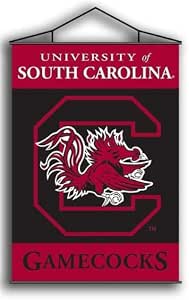 Amazon.com : South Carolina Gamecocks USC Indoor Banner Flag Scroll ...