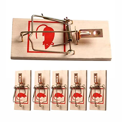 Ratoeiras Para Ratos em Continente | Fica.pt