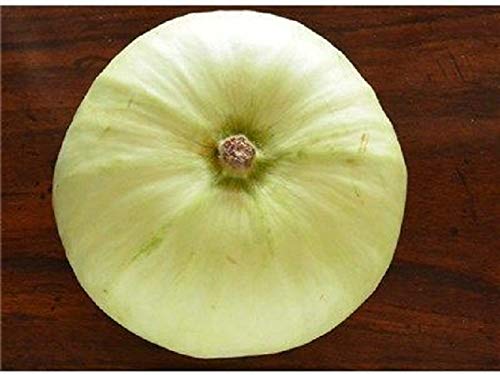 Punjab Round Lauki seed- 500 : Amazon.in: Garden & Outdoors