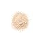 Amazon.com: Clinique Blended Face Loose Setting Powder For All Skin ...