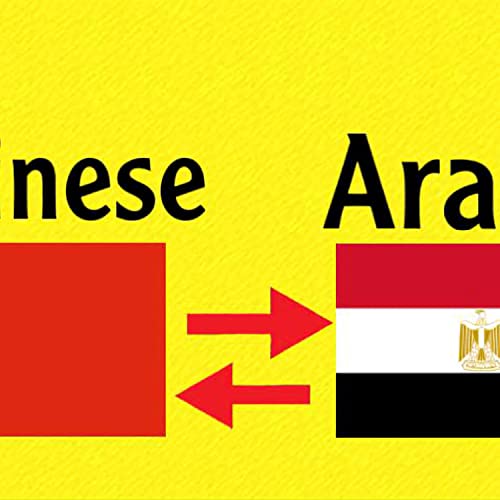 Play Arabic vs Mandarin Which Language is Harder (and which one should ...