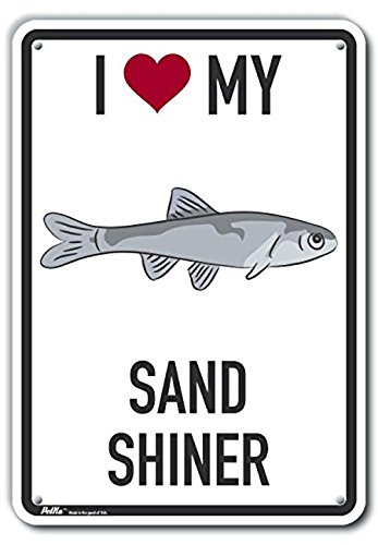PetKa Signs and Graphics PKAS-0377-NP_7x10 "I Heart My Goldfish ...